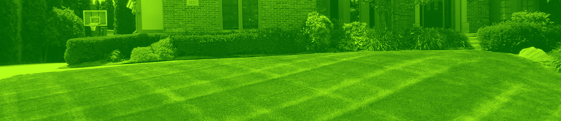 Lawn Care - PGS Wash | Lawn | Pest